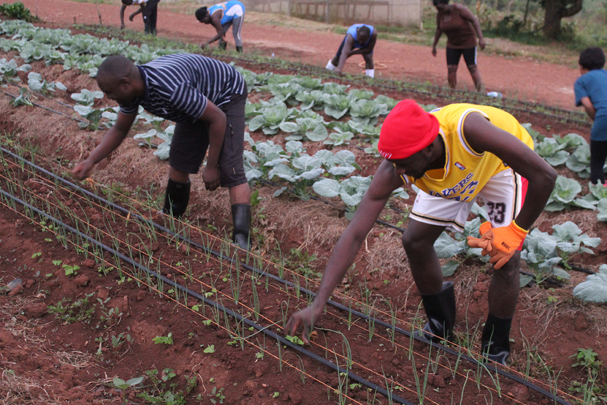 National Farmers' Leadership Center Training Transformative Leaders