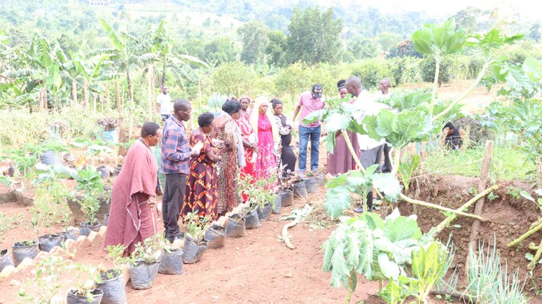 NFLC II Project Capacity Building Program for Farmers in Muyira Parish ...